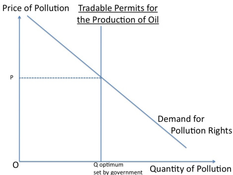 What Are Tradable Permits?