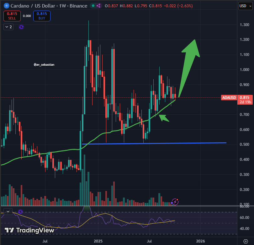Cardano Price Prediction: Holding Above Key Support