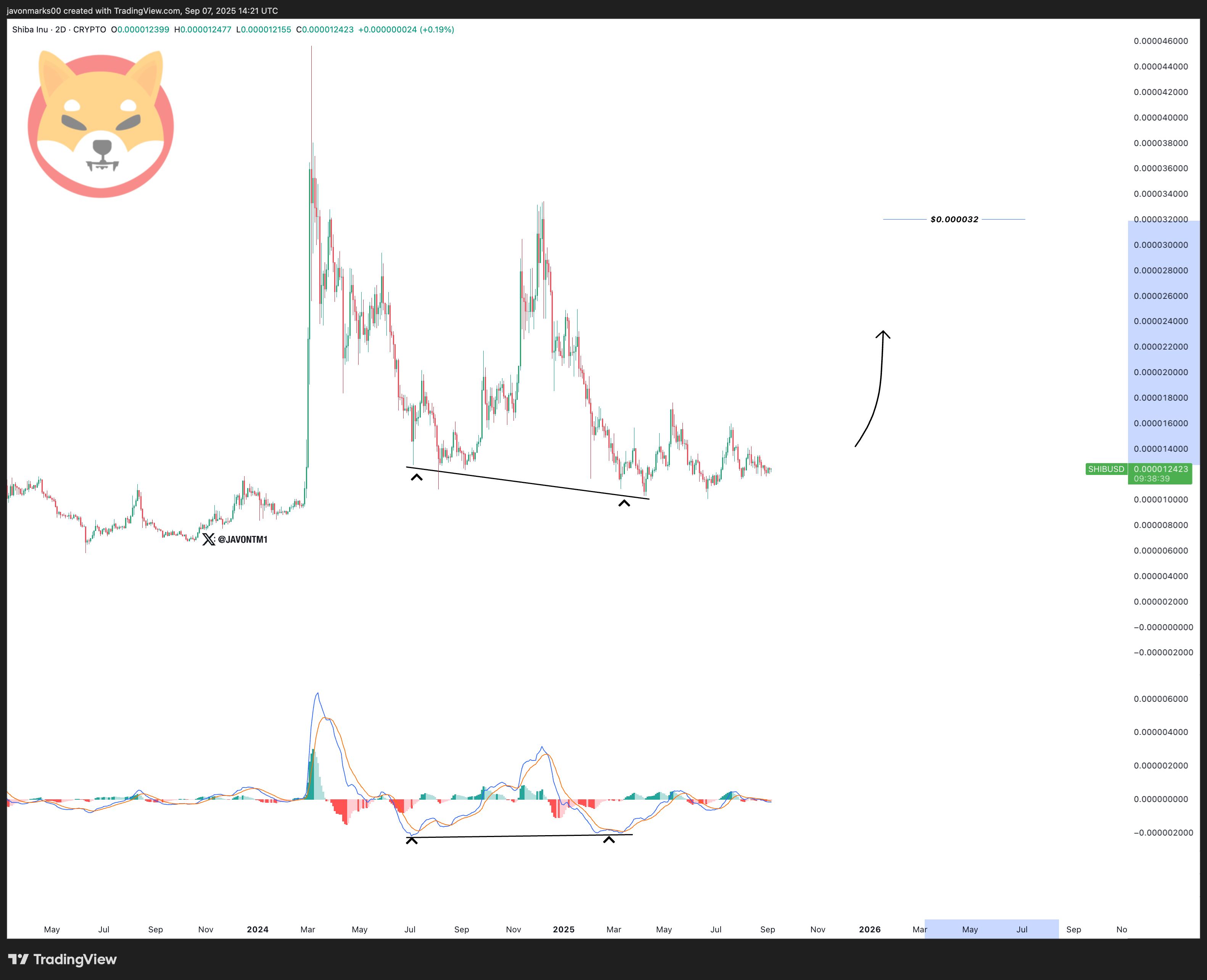 Shiba Inu (SHIB) Price Prediction: Bullish Divergence Signals Possible 150% Rally