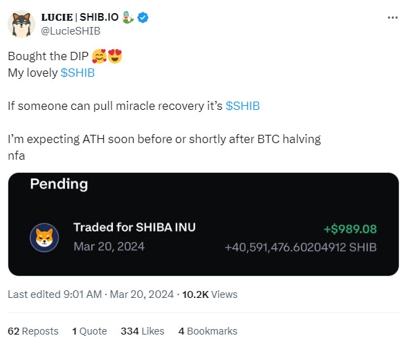SHIB Rally: Shiba Inu Team Predicts New All-Time High Before Bitcoin Halving