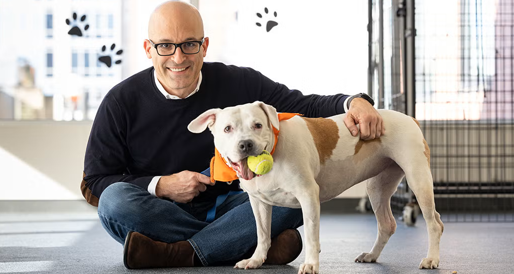 How Much Does the ASPCA CEO Make? Matthew Bershadker Earned $1.2M in 2023